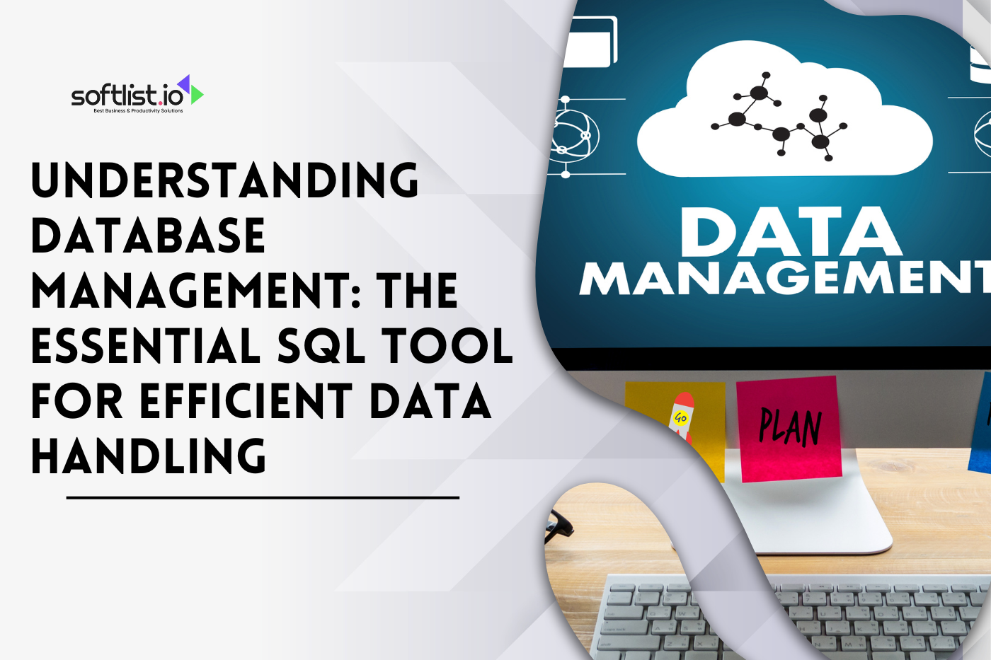 What Is a Database Management Software?- What You Must Know